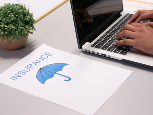 Understanding Car Hire Insurance – Payless Car Rental